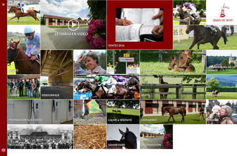 HARAS DU BUFF – Agence DOLLAR